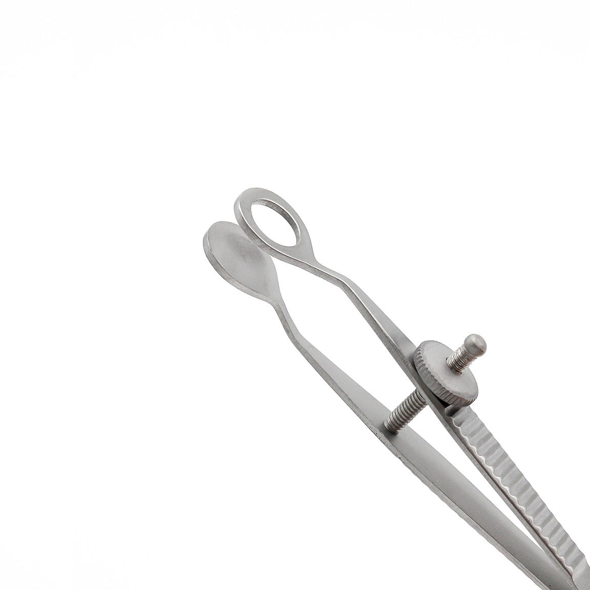 Lambert Chalazion Forceps Round 12mm | Surgical & Wound Care Supplies