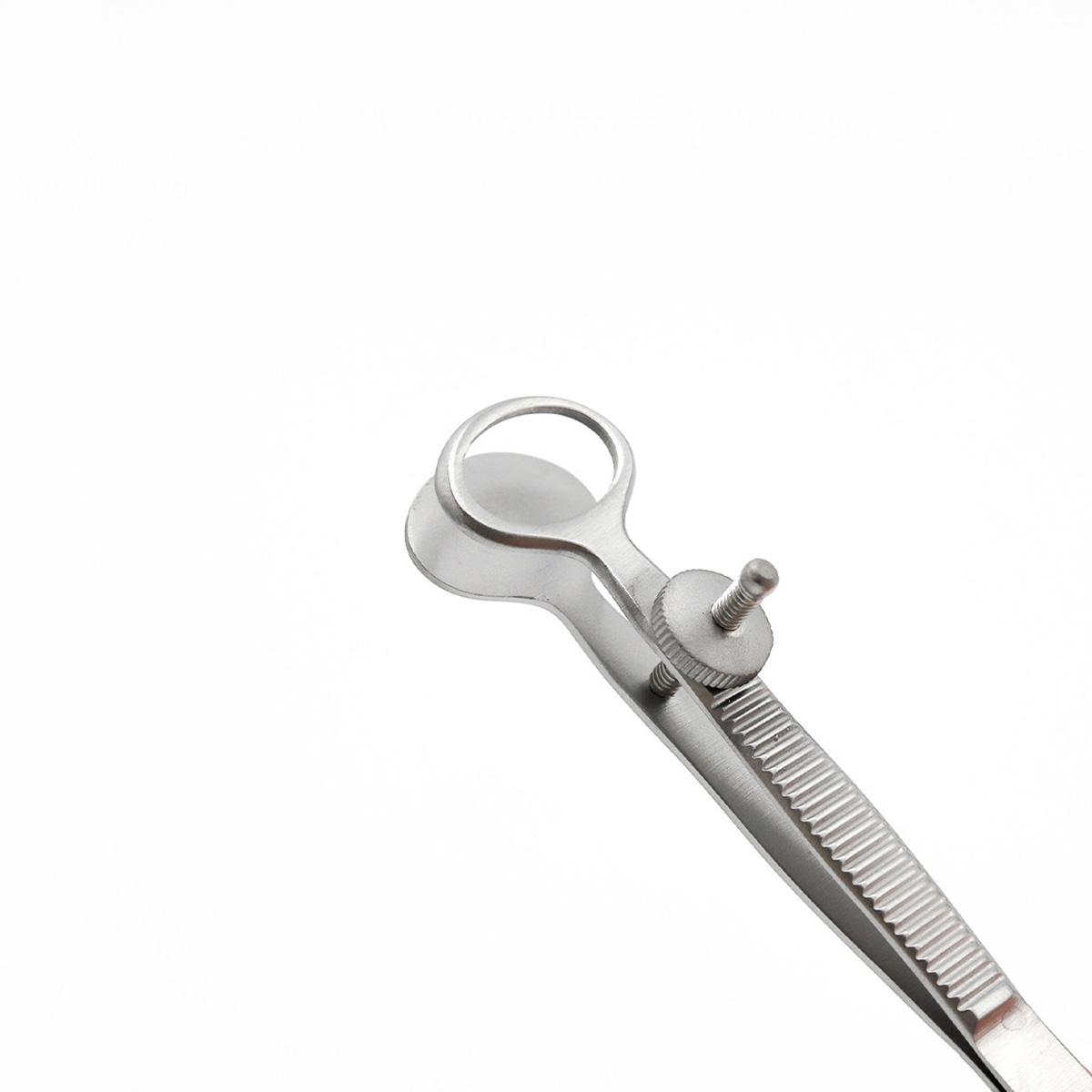 Chalazion Forceps Oval Francis, 14 x 11mm I.D. medium | Surgical ...